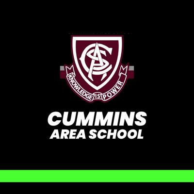 Cummins Area School – THEACEGROUP Pty Ltd